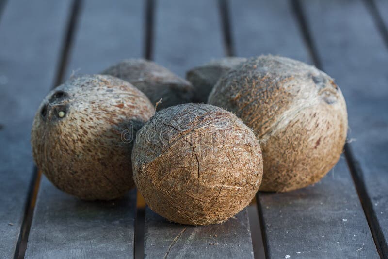 Coconut stock photo. Image of freshness, tropical, textured - 31299322