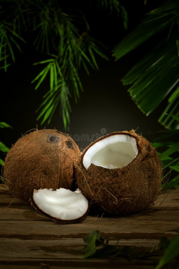 Coconut stock photo. Image of milk, eating, copra, tree - 74671316
