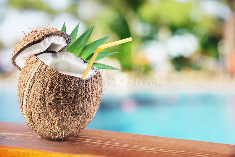 Coconut with Cocnut Milk on the Bar Table. Stock Image - Image of ...