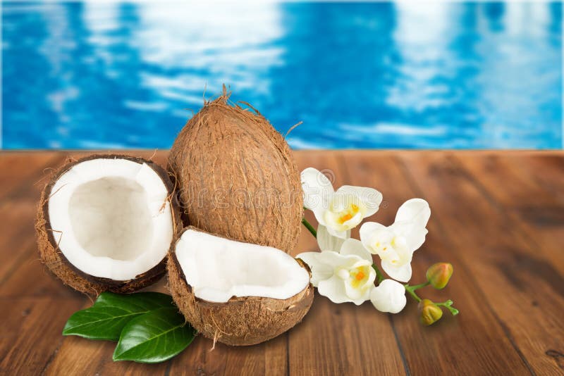 Coconut stock photo. Image of square, green, coco, isolated - 61555648