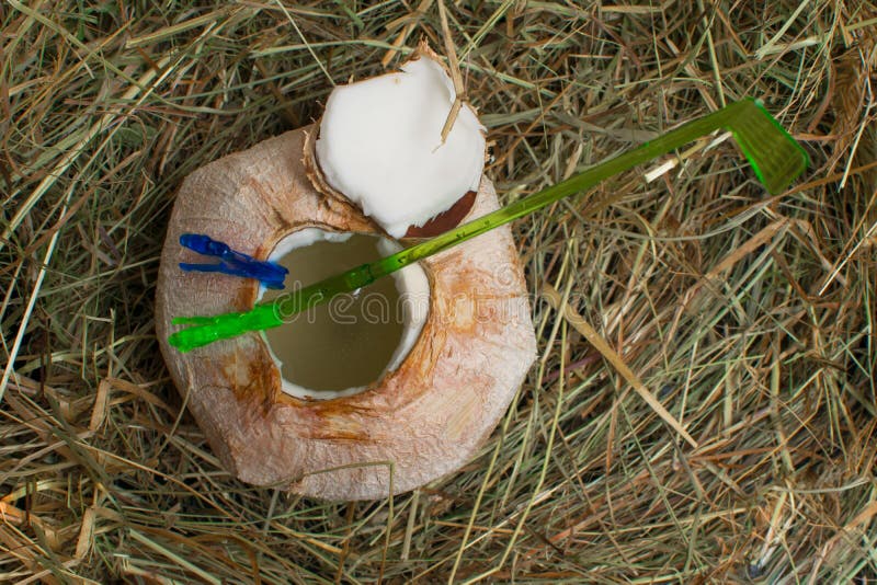 Coconut with Coco Milk in the Hay Stock Image - Image of healthy ...