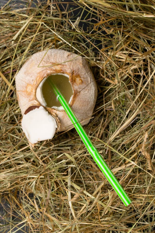 Coconut with Coco Milk in the Hay Stock Image - Image of healthy ...