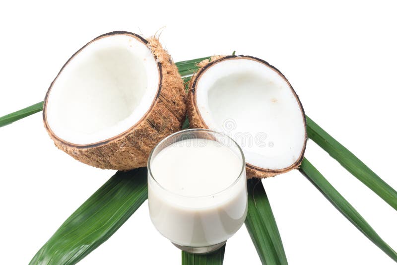 Coconut and coconut milk stock image. Image of nutritious - 54700697