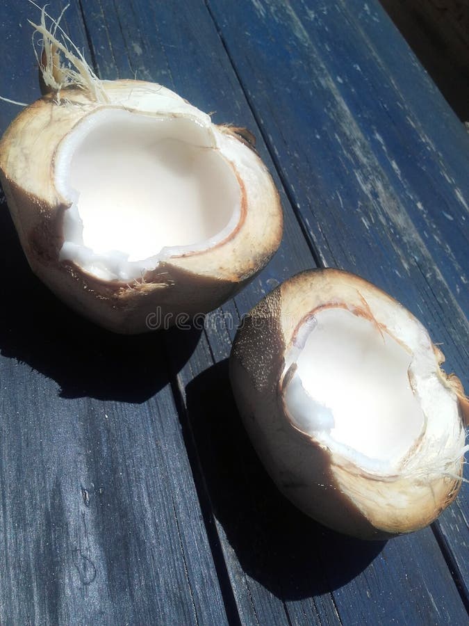 Coconut stock image. Image of table, tropical, fruit - 120957487