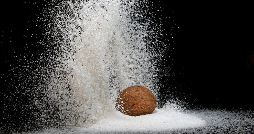 Coconut, Cocos Nucifera, Fruit and Powder Exploding Against Black ...