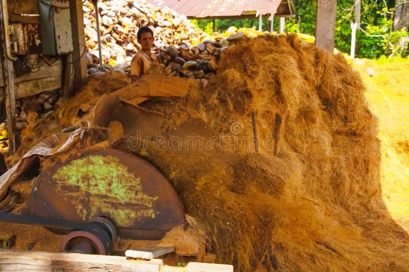 Coconut Coir Rope Making with Traditional Process Editorial Stock Photo ...