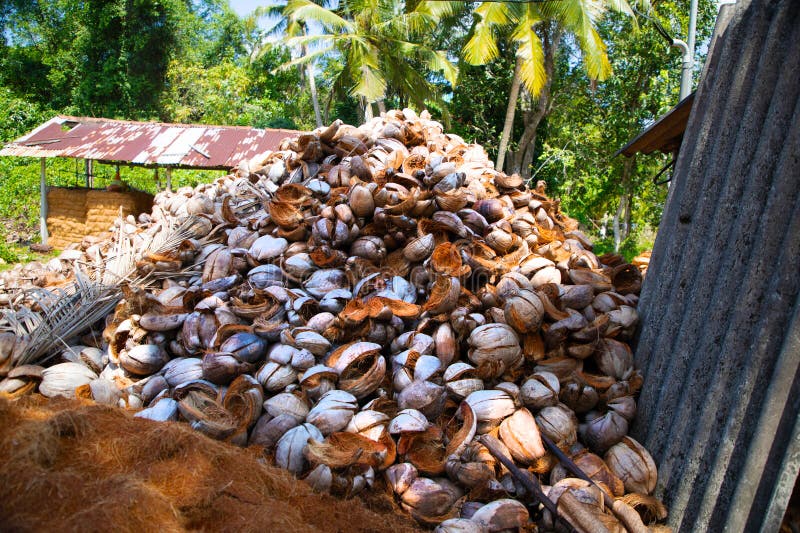 Coconut Coir Rope Making with Traditional Process Stock Image - Image ...