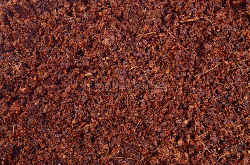 Coconut Coir Substrate for for Agriculture. Background Stock Image ...