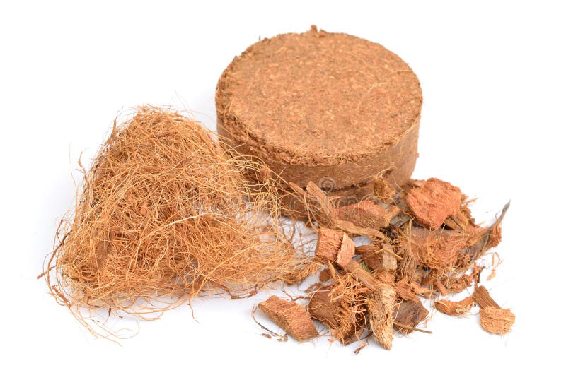 Coconut Coir Substrate. Pressed Briquette with Fiber and Chips Stock ...