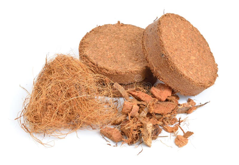 Coconut Coir Substrate. Pressed Briquette with Fiber and Chips Stock ...