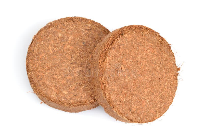 Coconut Coir Substrate. Pressed Briquette Isolated on White Background ...