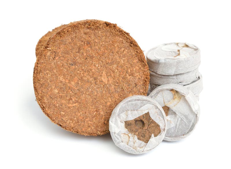 Coconut Coir Substrate. Pressed Briquette with Tabletes Stock Photo ...