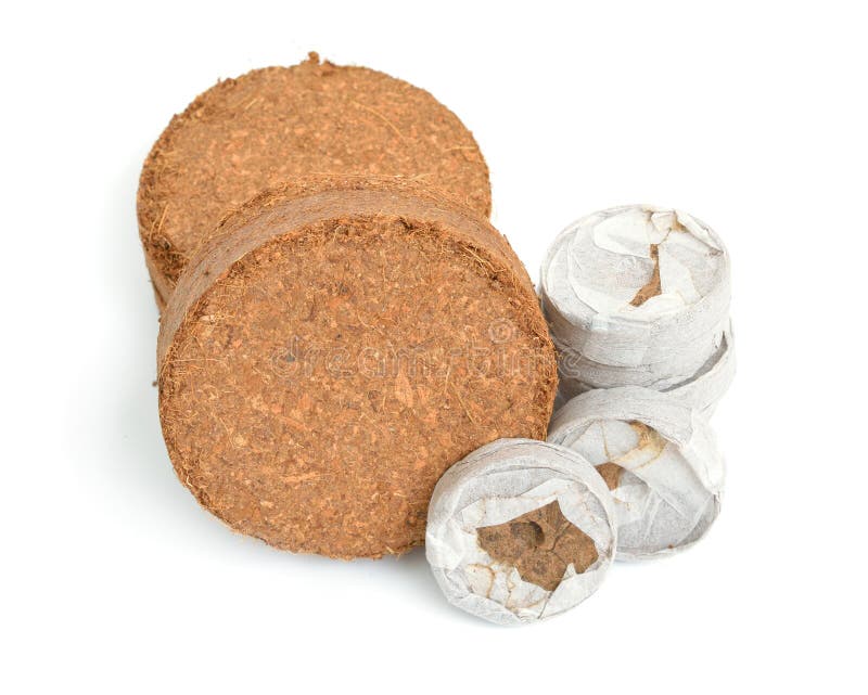 Coconut Coir Substrate. Pressed Briquette with Tabletes Stock Photo ...