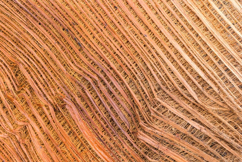 Coir texture stock image. Image of compressed, coir, texture - 7752081