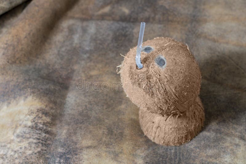 Coconut Collage in the Form of a Drink Barrel Stock Photo - Image of ...