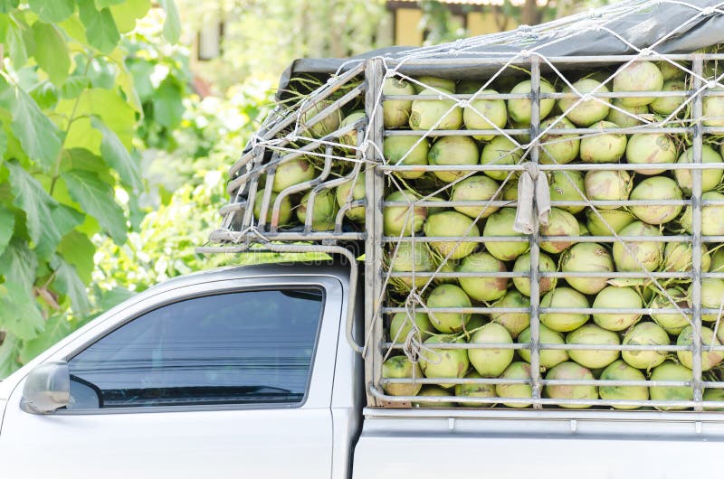 Coconut container stock image. Image of string, container - 55469919
