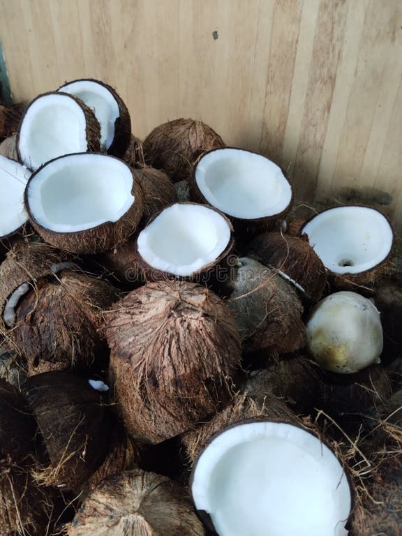 Coconut for Cook More Delicious Stock Photo - Image of green, delicious ...