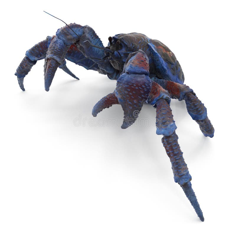 Evil Crab Stock Illustrations – 93 Evil Crab Stock Illustrations ...