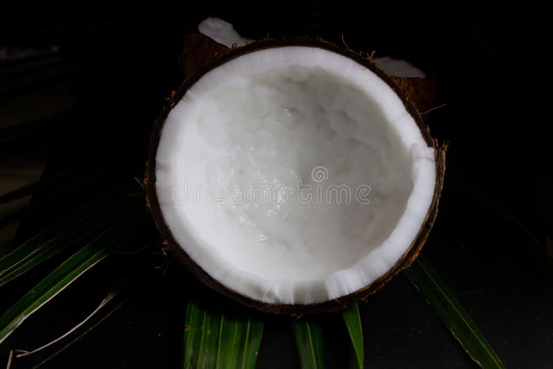 Coconut cut half stock photo. Image of shell, coconut - 157084548