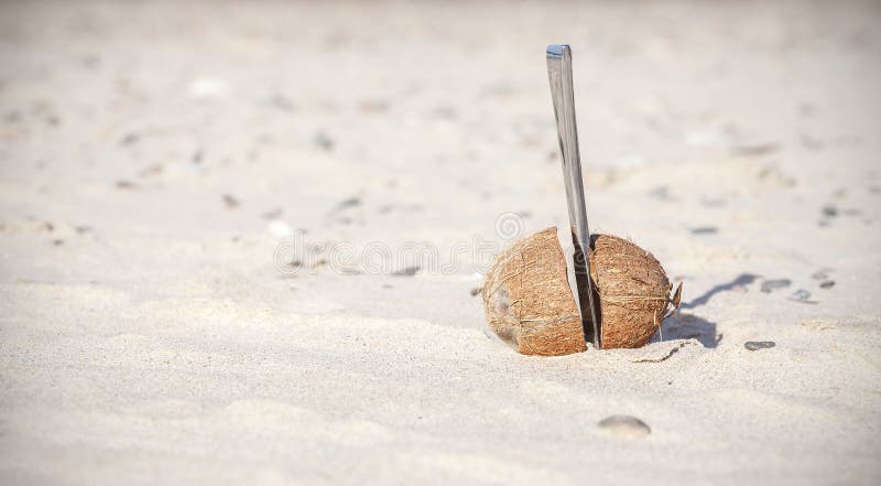 Coconut Cut in Half with Knife on a Beach Stock Image - Image of ...