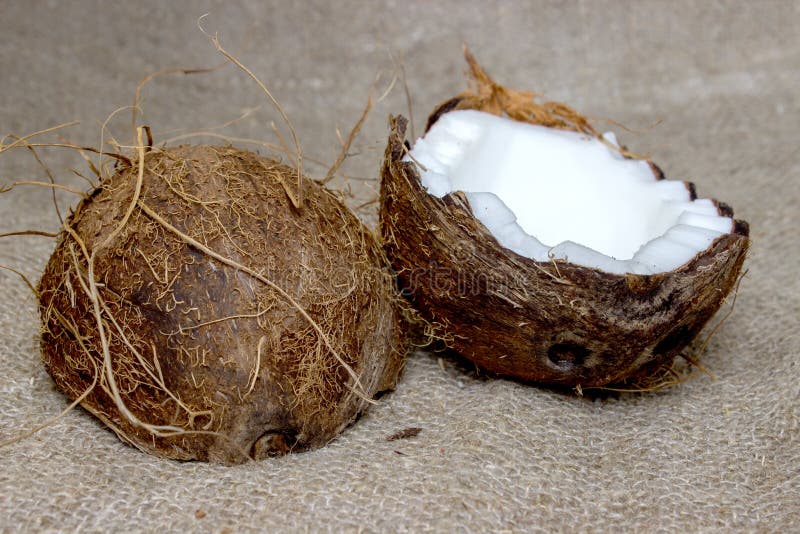 Coconut Cut into Pieces on Burlap Stock Photo - Image of closeup, diet ...