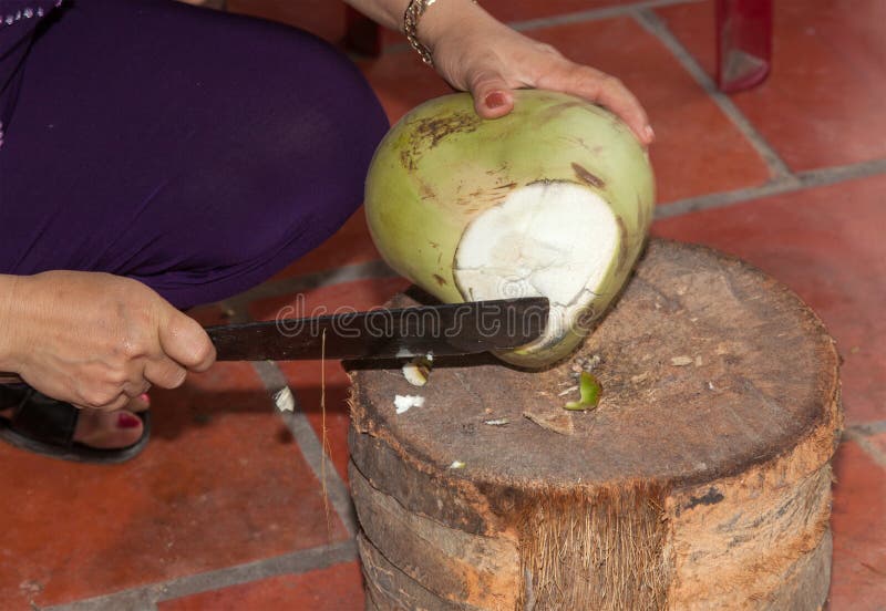 Coconut cutting stock image. Image of green, chop, sweet - 28709613