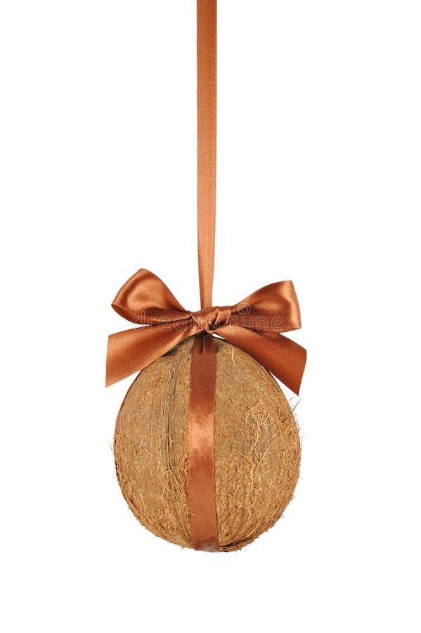 Coconut decoration stock photo. Image of botanic, healthy - 17238746
