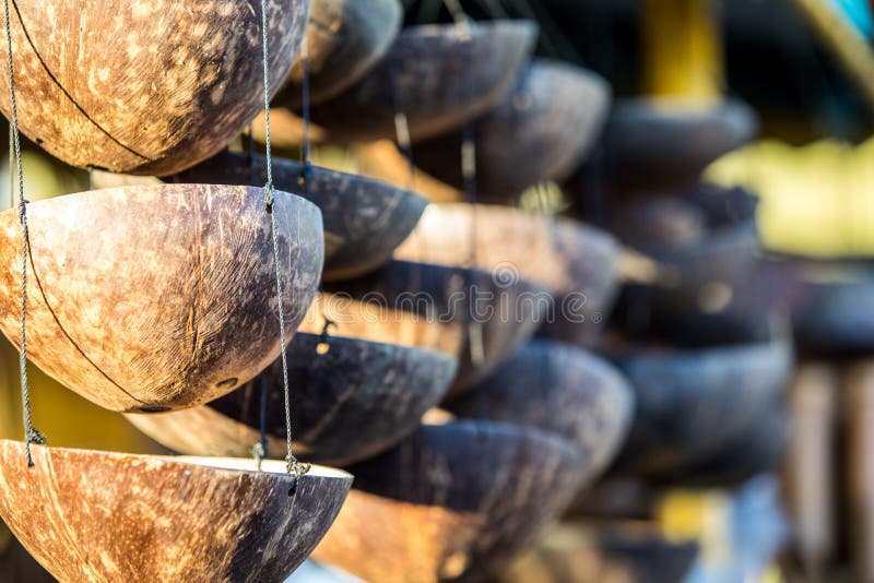 Coconut Display stock image. Image of nepal, fruit, bazaar - 11722773