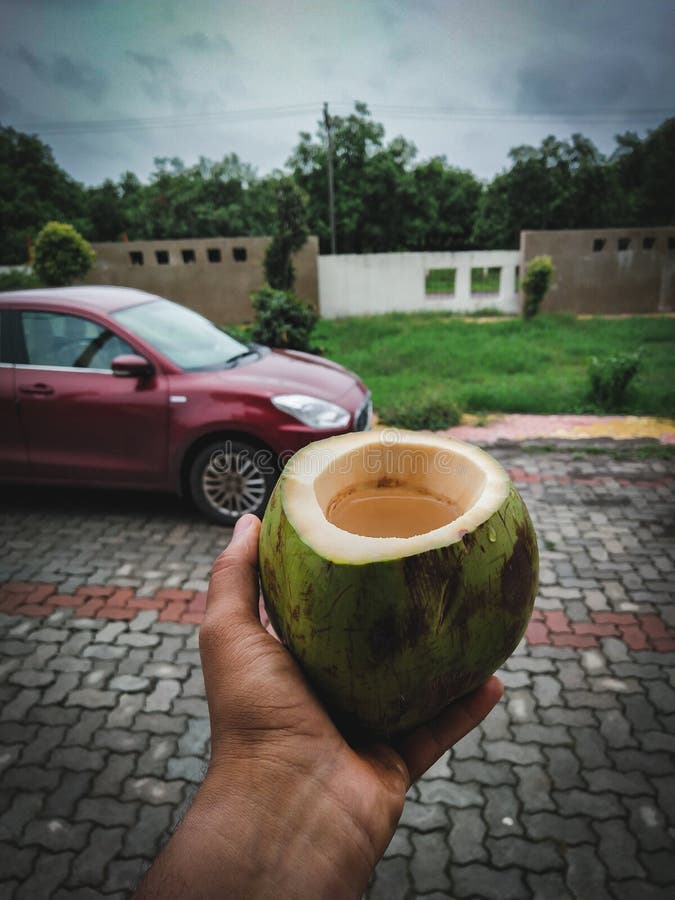 Coconut Drink in Front of Car Stock Image - Image of hands, amazing ...