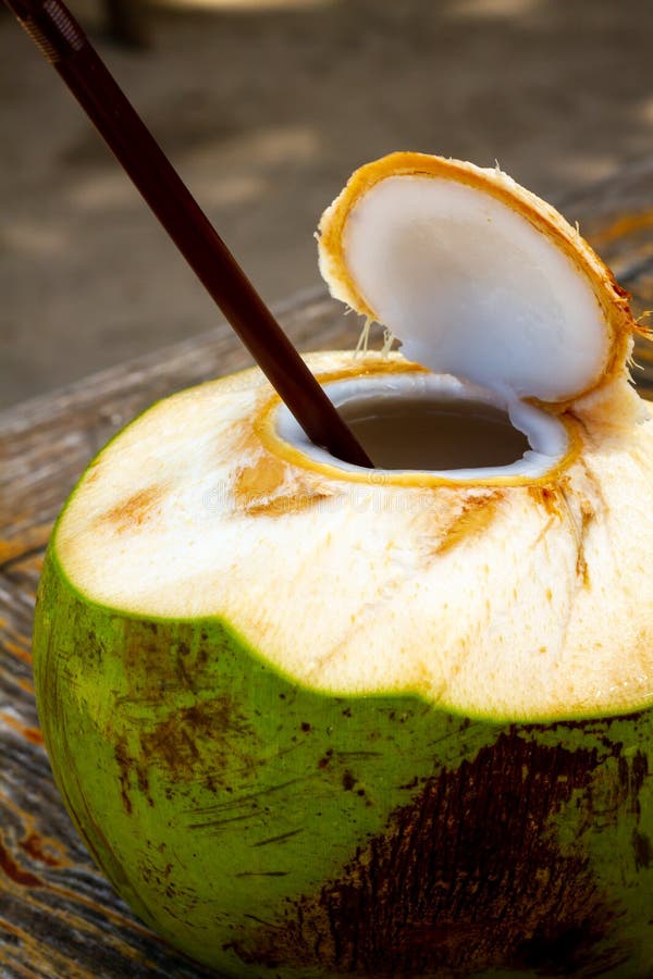 A coconut drink stock photo. Image of cocktail, vacation - 204482162
