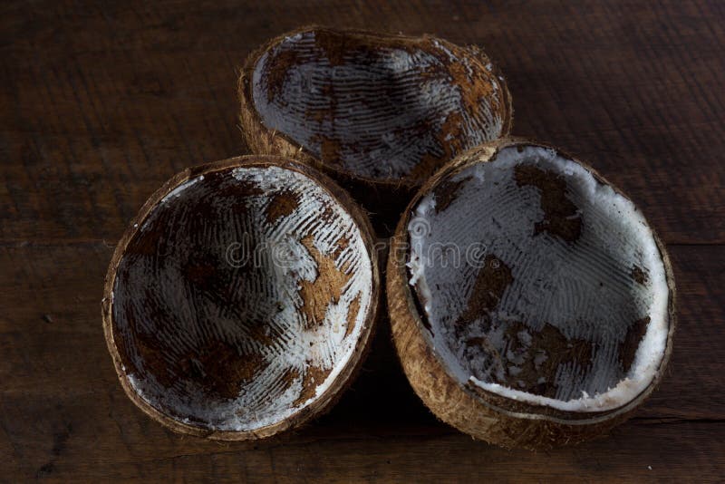 Coconut dry on the table stock image. Image of milk - 122301965