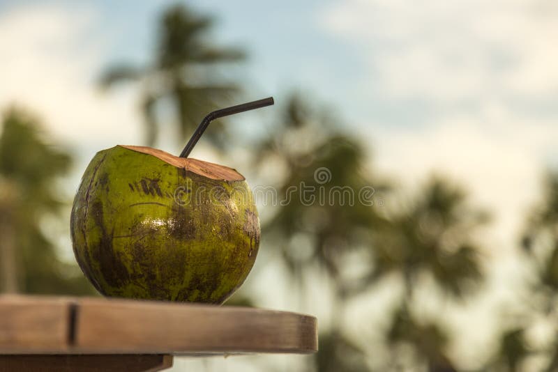 Coconut on the Edge of the Tropical Pool at Sunset. Stock Photo - Image ...