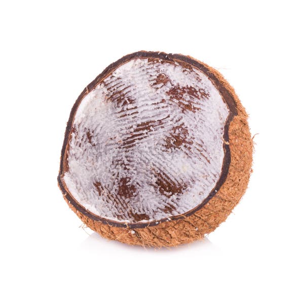 Coconut empty shell stock photo. Image of fresh, exotic - 73176198