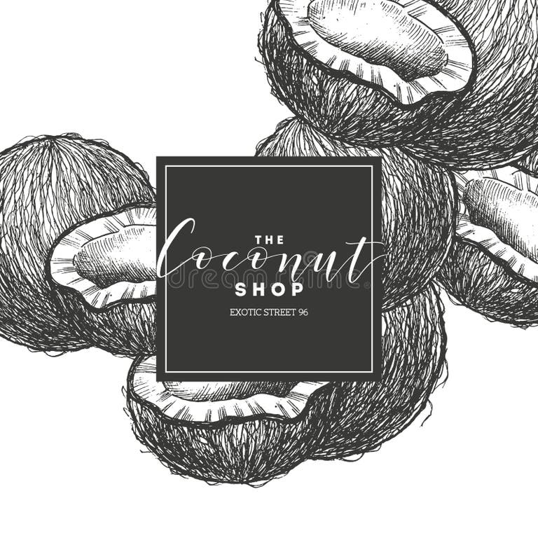 Coconut Engraved Illustration. Coconut Shop Design Template. Vector ...