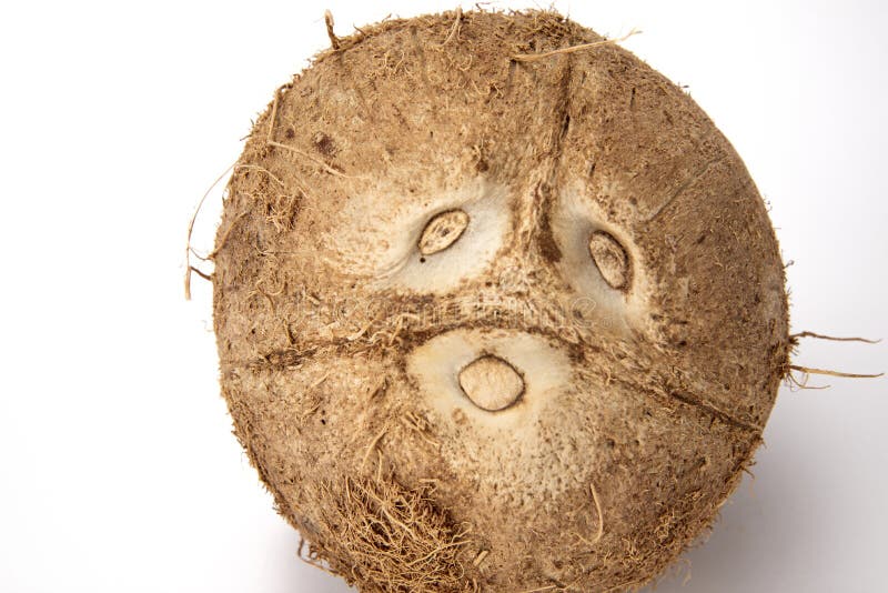 Coconut face stock image. Image of healthy, fiber, fresh - 190172693
