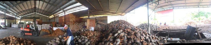Coconut factory editorial stock image. Image of hardwork - 80438249