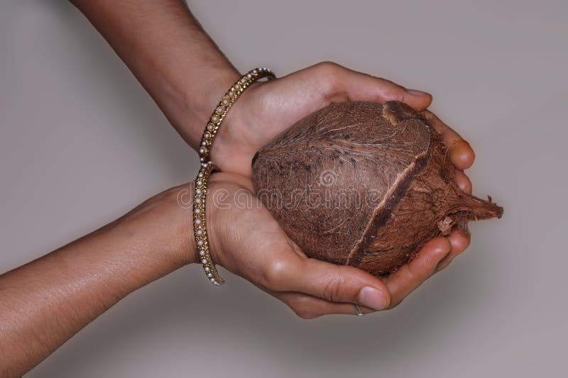 Coconut in female hand. stock photo. Image of brown - 281726220