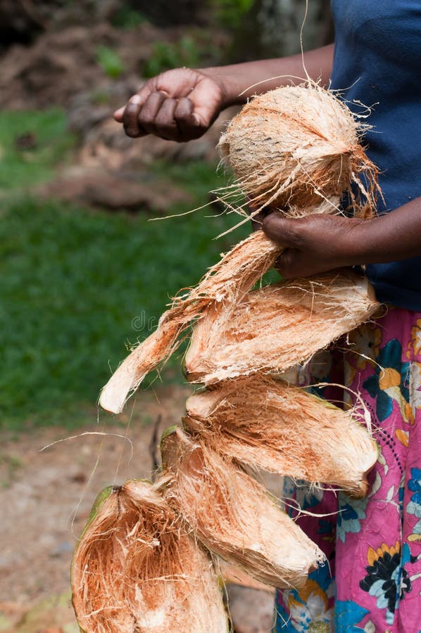 Coconut in Female Hands with Removed Shell Stock Photo - Image of fibre ...