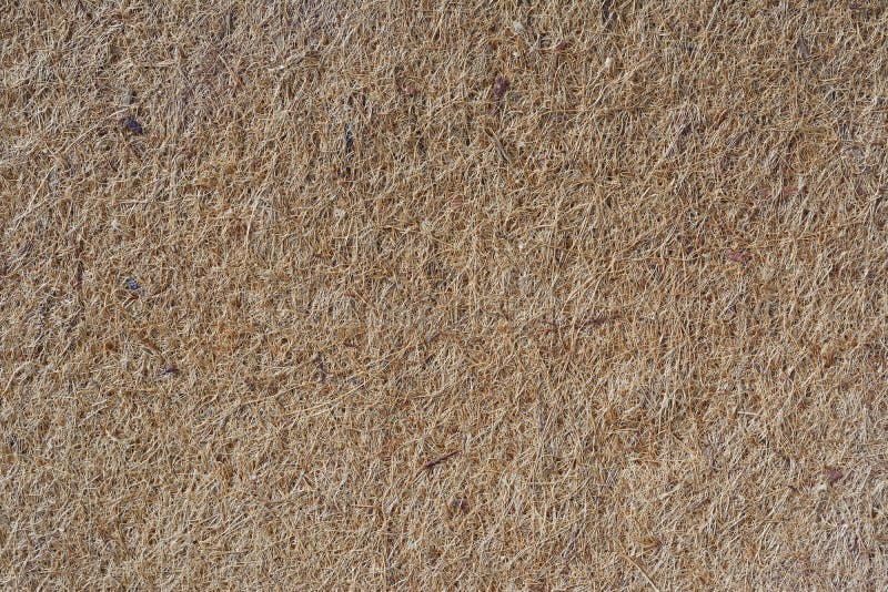 Coconut texture stock photo. Image of details, fibre - 20045700