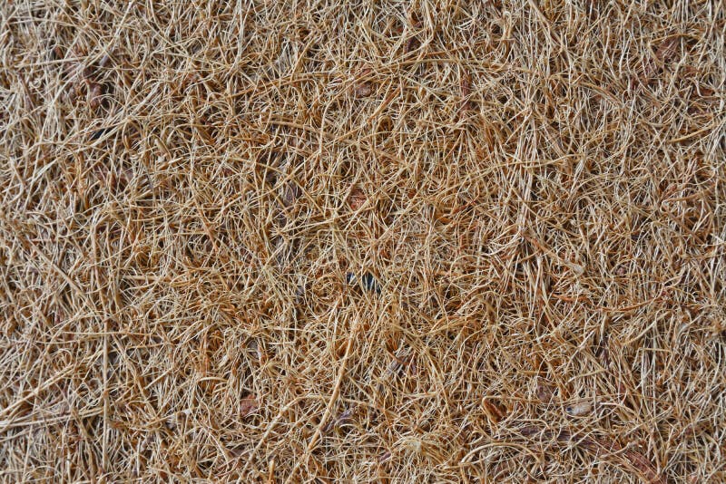 Coconut Fiber Background ; Suitable for Use As Background or Tex Stock ...
