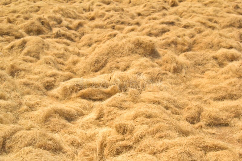 Coconut fiber stock image. Image of coir, coco, lasso - 39061881