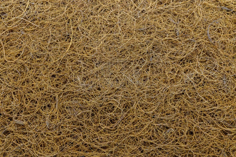 Coconut fiber texture stock photo. Image of fiber, backdrop - 20761996
