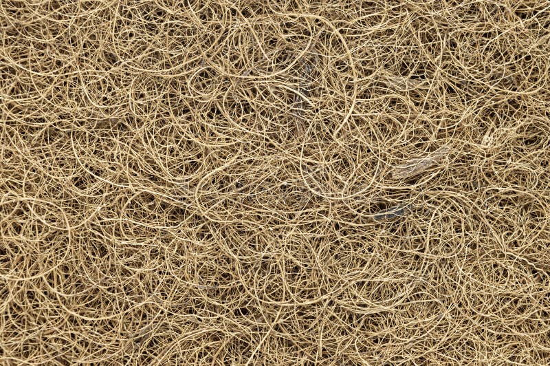 Coconut fiber texture stock photo. Image of fiber, backdrop - 20761996