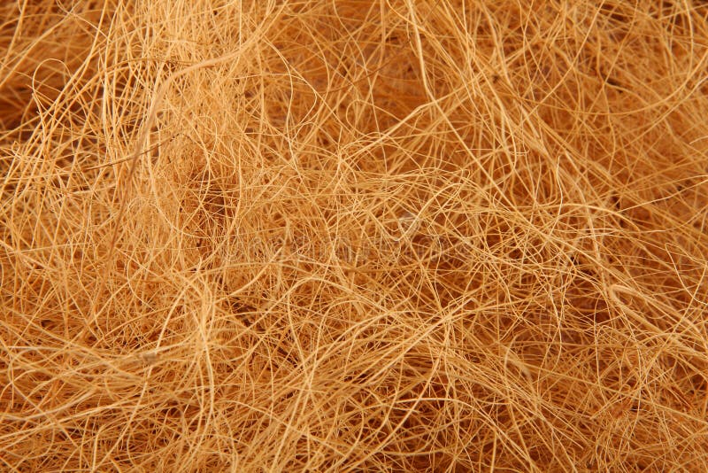 Coconut fiber . stock image. Image of coconut, peel, eating - 66383567