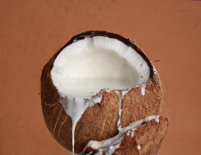 Coco with milk. stock image. Image of brown, coconut, tropical - 3151997