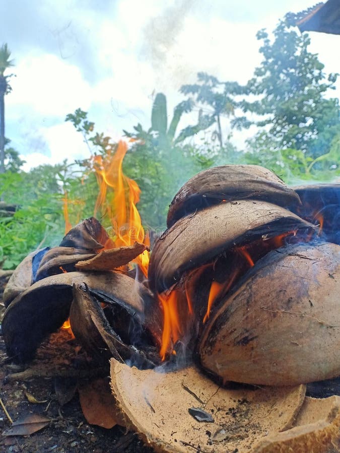 Coconut and fire stock image. Image of fire, coconut - 292343775