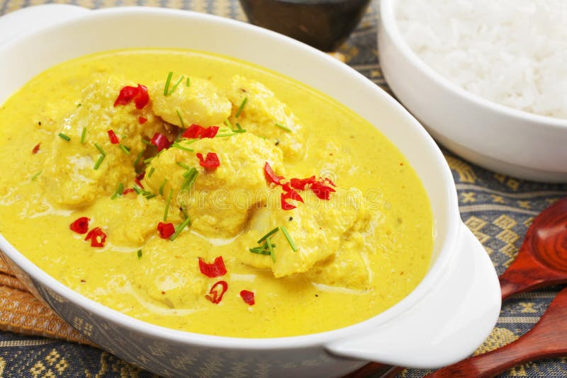 Coconut Fish Curry stock image. Image of fish, indian - 25779811