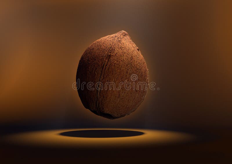 Coconut Bud Floating in the Sea Stock Photo - Image of natural, rhizome ...