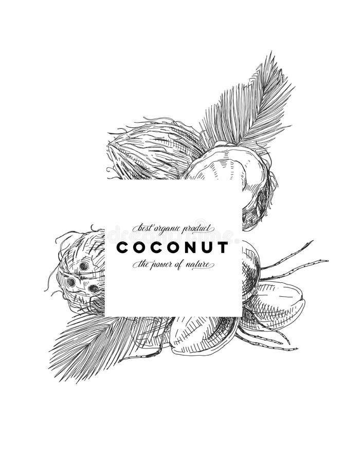 487 Coconut Label Design Stock Photos - Free & Royalty-Free Stock ...