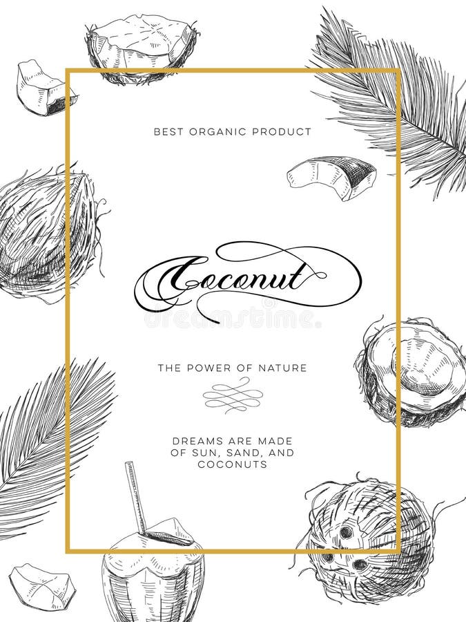 Coconut Frame Poster, Retro Hand Drawn Vector Illustration. Stock ...